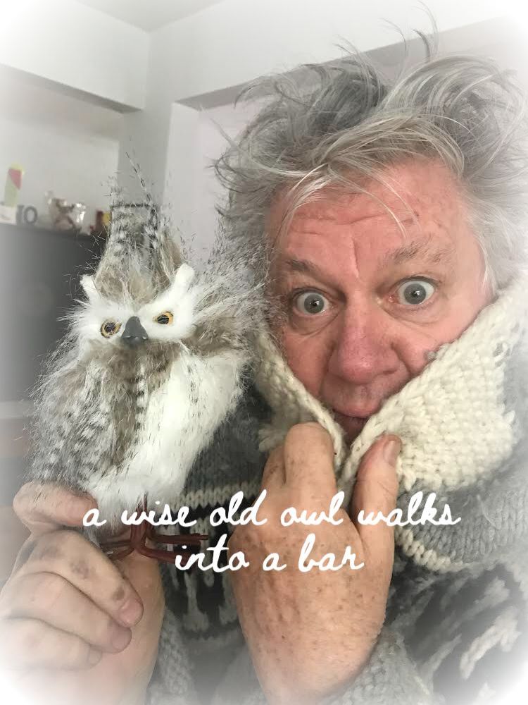 A Wise Old Owl Walks into a Bar – Tony with a capital T